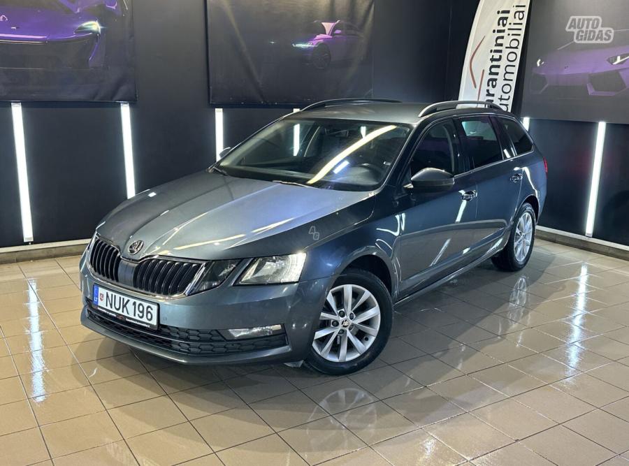 Серый Шкода Октавия 2019 в Авиженяй, объемом двигателя 2.00 л и пробегом 229 тыс. км за 11750 €, фото 1 на AUTOMOTO.COM.LV