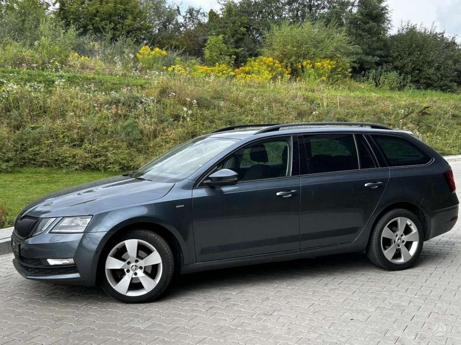 Grey Skoda Octavia 2019 in Vilnius, with an engine capacity of 1.60 L and mileage of 310 thousand km for 8399 €, photo 3 on AUTOMOTO.COM.LV