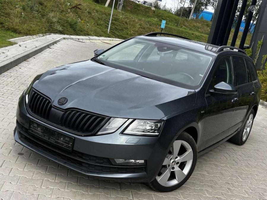 Grey Skoda Octavia 2019 in Vilnius, with an engine capacity of 1.60 L and mileage of 310 thousand km for 8399 €, photo 9 on AUTOMOTO.COM.LV