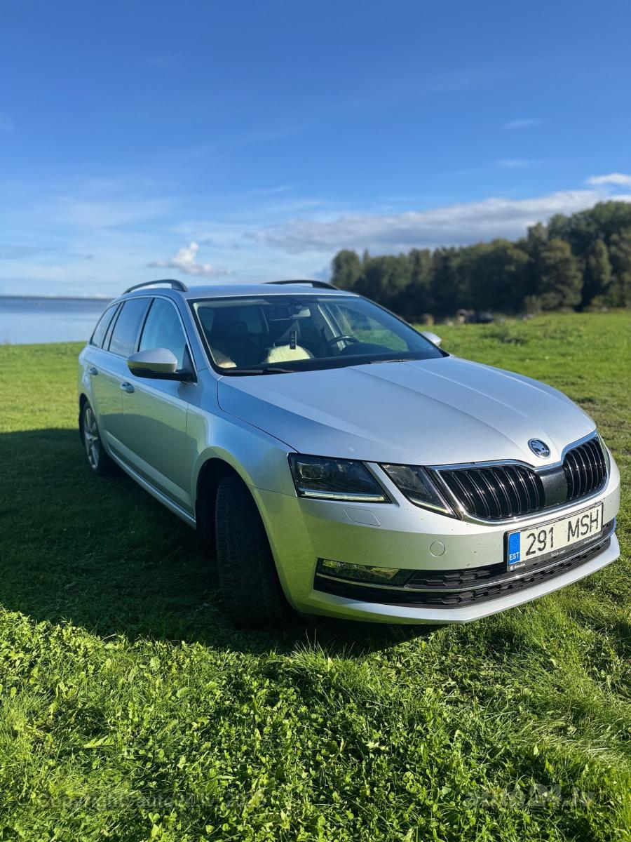 Pelēks Skoda Octavia 2019 Tallina, ar dzinēja tilpumu 1.60 L un nobraukumu 143 tūkst. km par 10999 €, foto 4 vietnē AUTOMOTO.COM.LV