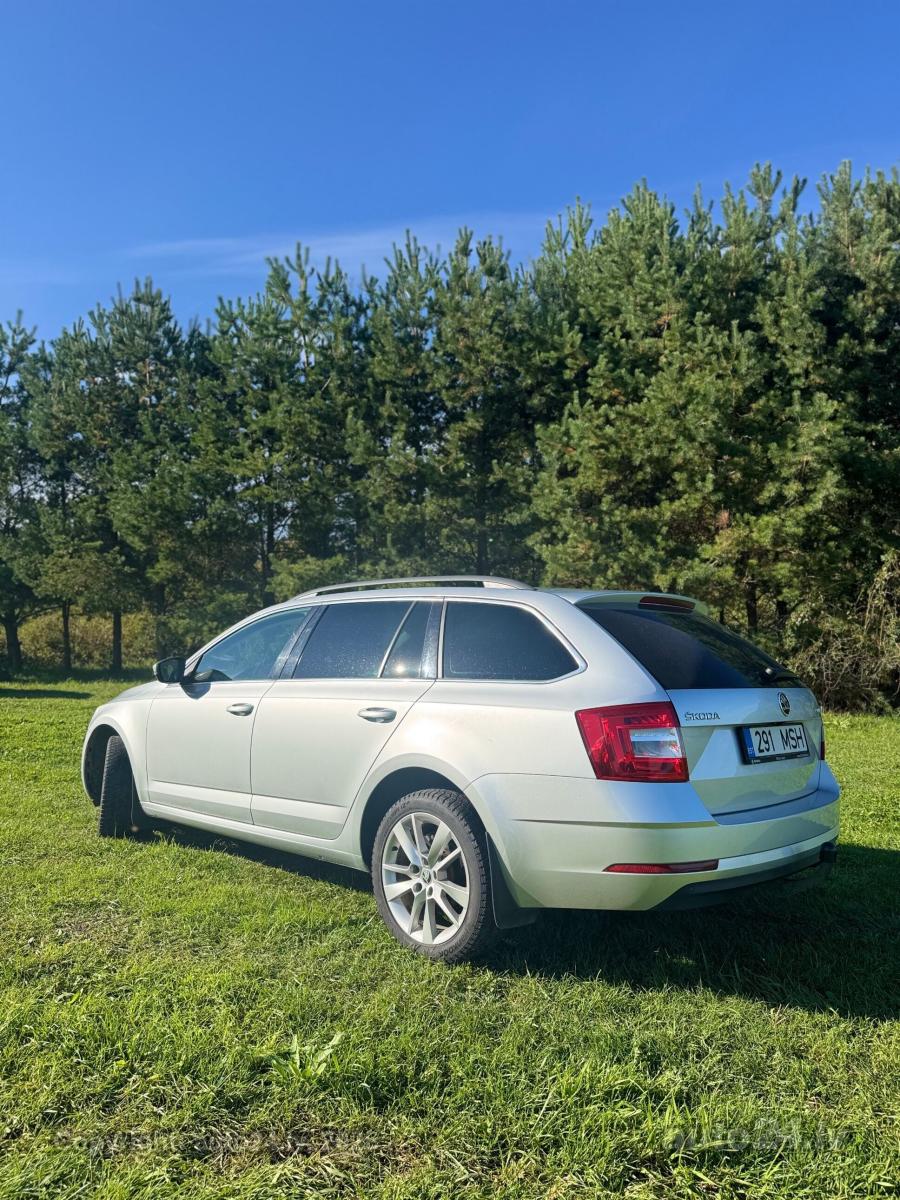 Pelēks Skoda Octavia 2019 Tallina, ar dzinēja tilpumu 1.60 L un nobraukumu 143 tūkst. km par 10999 €, foto 6 vietnē AUTOMOTO.COM.LV