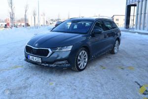 Grey Skoda Octavia 2020 in Vilnius, with an engine capacity of 1.97 L and mileage of 194 thousand km for 15950 €, photo 3 on AUTOMOTO.COM.LV