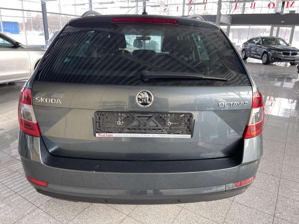 Grey Skoda Octavia 2020 in Klaipeda, with an engine capacity of 1.97 L and mileage of 124 thousand km for 13982 €, photo 7 on AUTOMOTO.COM.LV