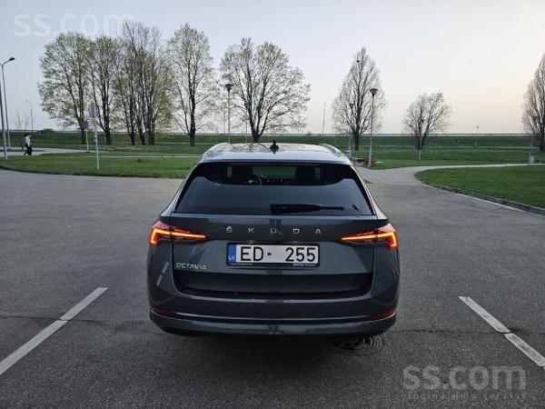 Pelēks Skoda Octavia 2020 Daugavpils, ar dzinēja tilpumu 2.00 L un nobraukumu 210 tūkst. km par 16500 €, foto 3 vietnē AUTOMOTO.COM.LV