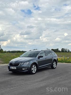 Grey Skoda Octavia 2020 in Riga, with an engine capacity of 1.60 L and mileage of 239 thousand km for 12500 €, photo 9 on AUTOMOTO.COM.LV