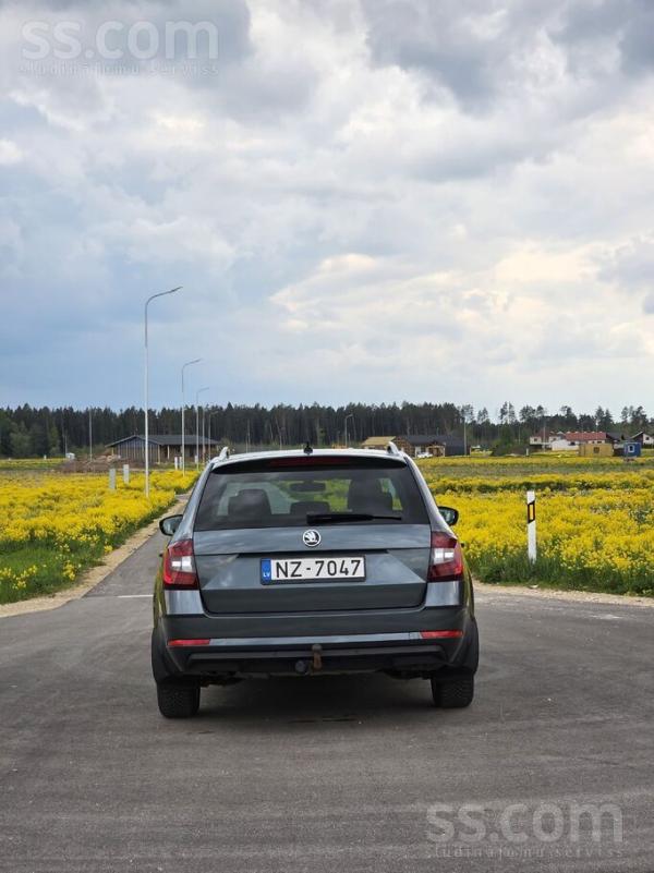 Grey Skoda Octavia 2020 in Riga, with an engine capacity of 1.60 L and mileage of 239 thousand km for 11500 €, photo 2 on AUTOMOTO.COM.LV