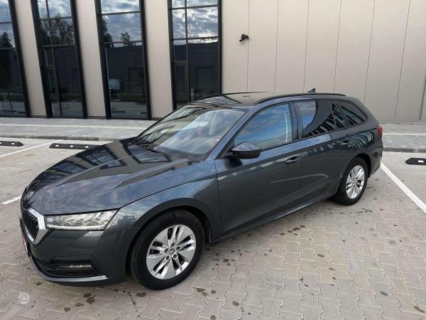 Pelēks Skoda Octavia 2021 Viļņa, ar dzinēja tilpumu 1.97 L un nobraukumu 192 tūkst. km par 12569 €, foto 7 vietnē AUTOMOTO.COM.LV