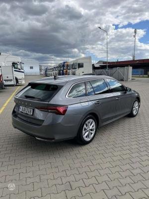 Pelēks Skoda Octavia 2025 Kauņa, ar dzinēja tilpumu 1.50 L un nobraukumu 17 tūkst. km par 24900 €, foto 5 vietnē AUTOMOTO.COM.LV