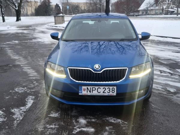 Skoda Octavia 2014 in Radviliskis, with an engine capacity of 1.60 L and mileage of 300 thousand km for 4999 €, photo 9 on AUTOMOTO.COM.LV