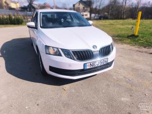 Skoda Octavia 2017 in Siauliai, with an engine capacity of 1.60 L and mileage of 3 thousand km for 6400 €, photo 5 on AUTOMOTO.COM.LV