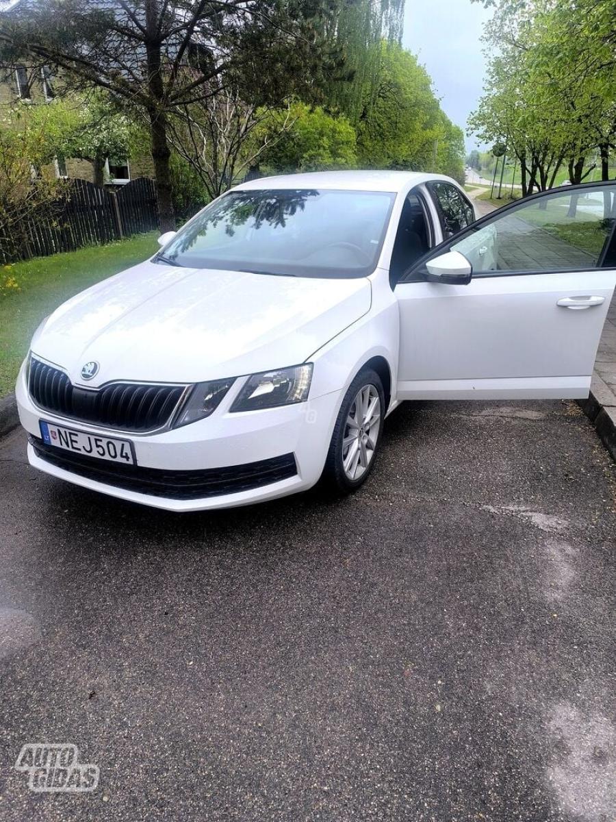 Skoda Octavia 2017 Šauļi, ar dzinēja tilpumu 1.60 L un nobraukumu 3 tūkst. km par 6150 €, foto 11 vietnē AUTOMOTO.COM.LV