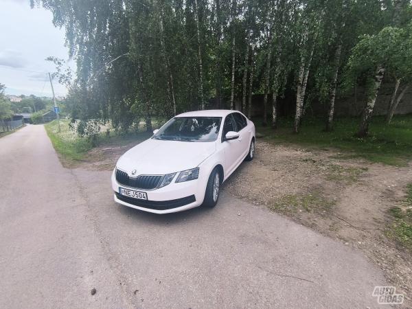 Skoda Octavia 2017 Šauļi, ar dzinēja tilpumu 1.60 L un nobraukumu 299 tūkst. km par 5900 €, foto 3 vietnē AUTOMOTO.COM.LV