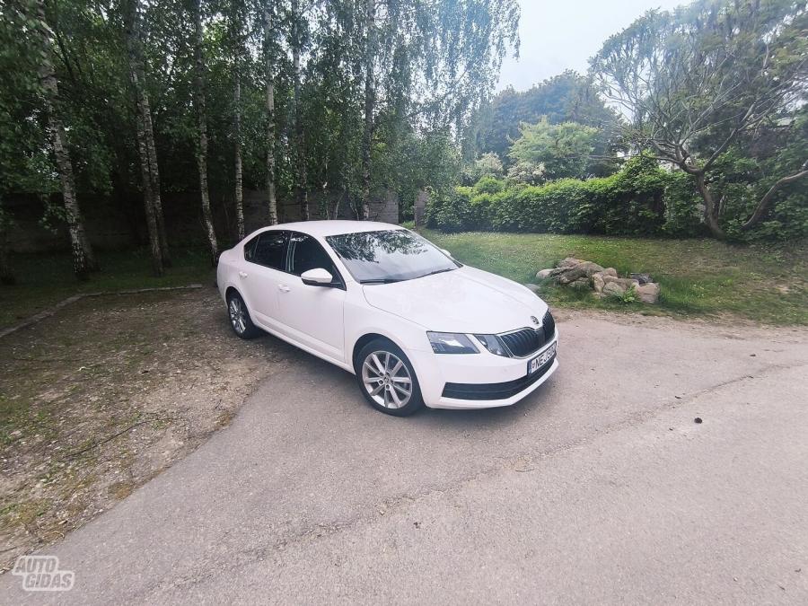 Skoda Octavia 2017 Šauļi, ar dzinēja tilpumu 1.60 L un nobraukumu 299 tūkst. km par 5900 €, foto 12 vietnē AUTOMOTO.COM.LV