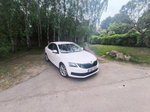 Skoda Octavia 2017 Šauļi, ar dzinēja tilpumu 1.60 L un nobraukumu 299 tūkst. km par 5900 €, foto 13 vietnē AUTOMOTO.COM.LV