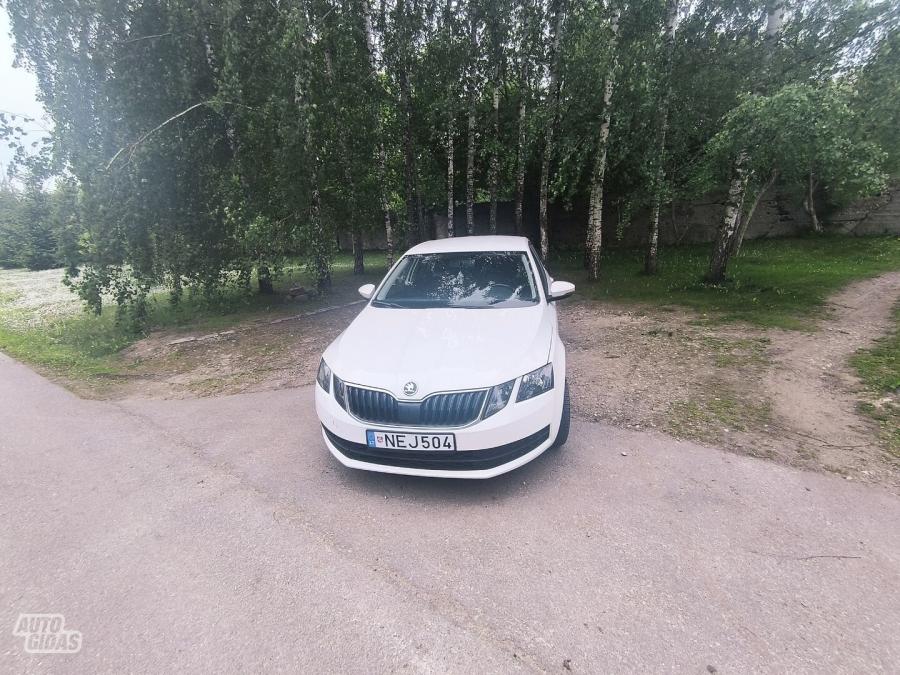 Skoda Octavia 2017 Šauļi, ar dzinēja tilpumu 1.60 L un nobraukumu 300 tūkst. km par 5950 €, foto 4 vietnē AUTOMOTO.COM.LV