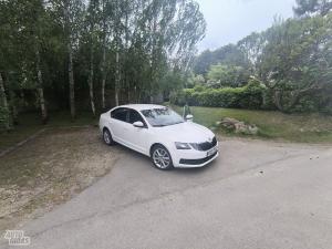 Skoda Octavia 2017 Šauļi, ar dzinēja tilpumu 1.60 L un nobraukumu 300 tūkst. km par 5950 €, foto 10 vietnē AUTOMOTO.COM.LV
