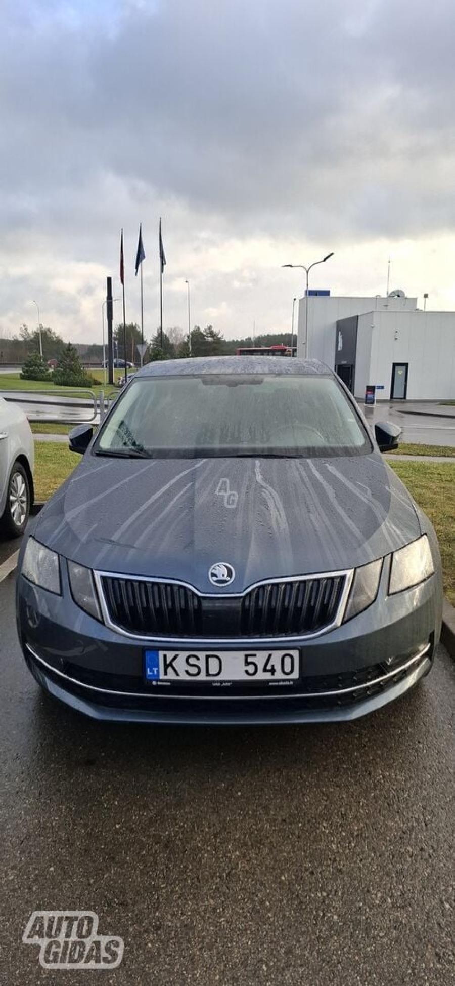 Skoda Octavia 2018 in Vilnius, with an engine capacity of 1.60 L and mileage of 130 thousand km for 9500 €, photo 1 on AUTOMOTO.COM.LV
