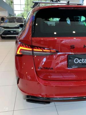 Red Skoda Octavia 2026 in Kaunas, with an engine capacity of 1.98 L and mileage of 0 thousand km for 39440 €, photo 8 on AUTOMOTO.COM.LV