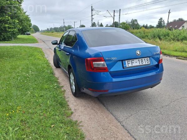 Шкода Октавия 2017 в Рига, объемом двигателя 2.00 л и пробегом 183 тыс. км за 10700 €, фото 3 на AUTOMOTO.COM.LV