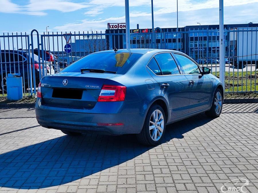 Skoda Octavia 2019 Klaipėda, ar dzinēja tilpumu 1.59 L un nobraukumu 159 tūkst. km par 11900 €, foto 3 vietnē AUTOMOTO.COM.LV