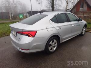 Skoda Octavia 2021 Jelgava, ar dzinēja tilpumu 1.50 L un nobraukumu 219 tūkst. km par 11300 €, foto 4 vietnē AUTOMOTO.COM.LV