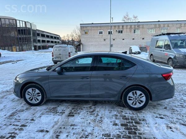 Skoda Octavia 2026 Rīga, ar dzinēja tilpumu 2.00 L un nobraukumu 50 tūkst. km par 28000 €, foto 7 vietnē AUTOMOTO.COM.LV