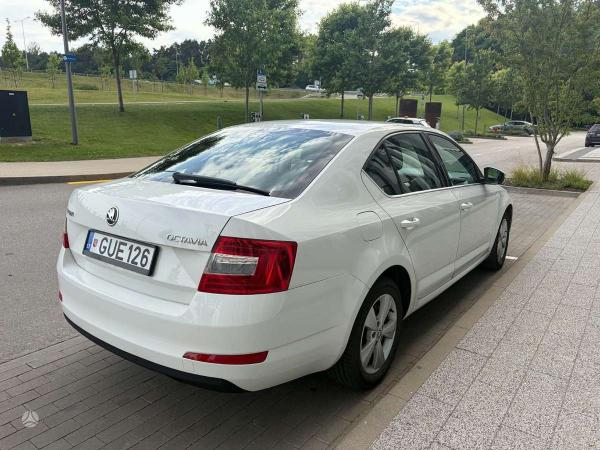 White Skoda Octavia 2013 in Vilnius, with an engine capacity of 1.40 L and mileage of 241 thousand km for 4900 €, photo 4 on AUTOMOTO.COM.LV