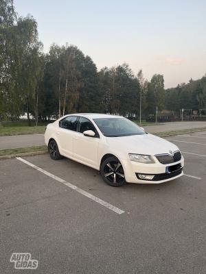 Balts Skoda Octavia 2014 Plungė, ar dzinēja tilpumu 2.00 L un nobraukumu 420 tūkst. km par 5000 €, foto 3 vietnē AUTOMOTO.COM.LV
