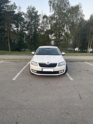 Balts Skoda Octavia 2014 Plungė, ar dzinēja tilpumu 2.00 L un nobraukumu 420 tūkst. km par 5000 €, foto 4 vietnē AUTOMOTO.COM.LV