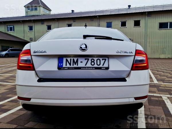 White Skoda Octavia 2017 in Riga, with an engine capacity of 1.60 L and mileage of 215 thousand km for 7950 €, photo 5 on AUTOMOTO.COM.LV
