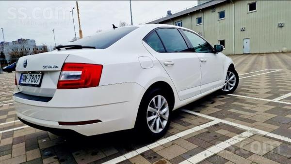 White Skoda Octavia 2017 in Riga, with an engine capacity of 1.60 L and mileage of 215 thousand km for 7950 €, photo 8 on AUTOMOTO.COM.LV