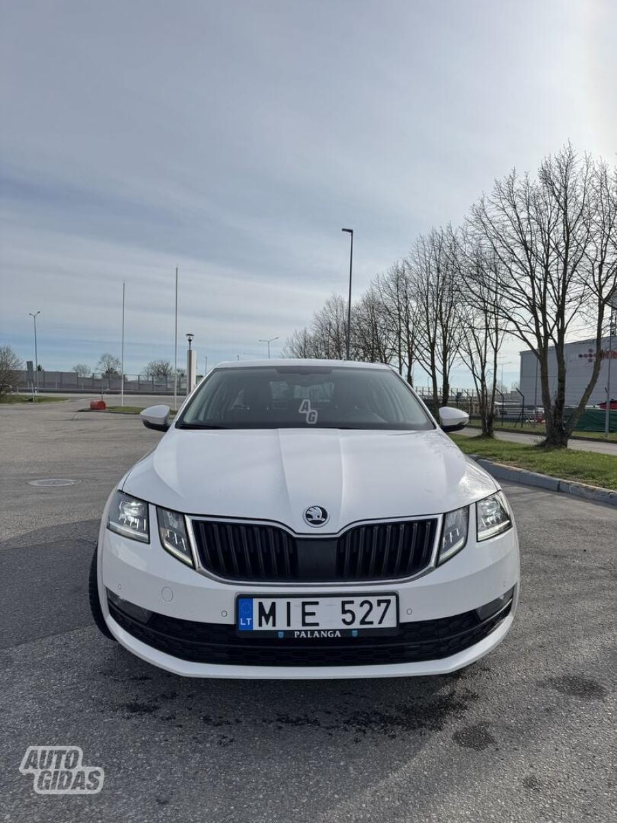 Balts Skoda Octavia 2017 Klaipėda, ar dzinēja tilpumu 1.60 L un nobraukumu 480 tūkst. km par 5200 €, foto 3 vietnē AUTOMOTO.COM.LV