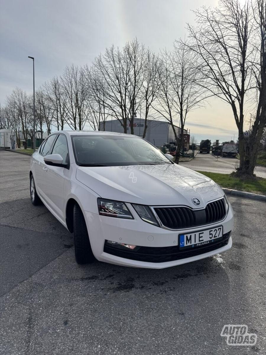 Balts Skoda Octavia 2017 Klaipėda, ar dzinēja tilpumu 1.60 L un nobraukumu 480 tūkst. km par 5200 €, foto 4 vietnē AUTOMOTO.COM.LV