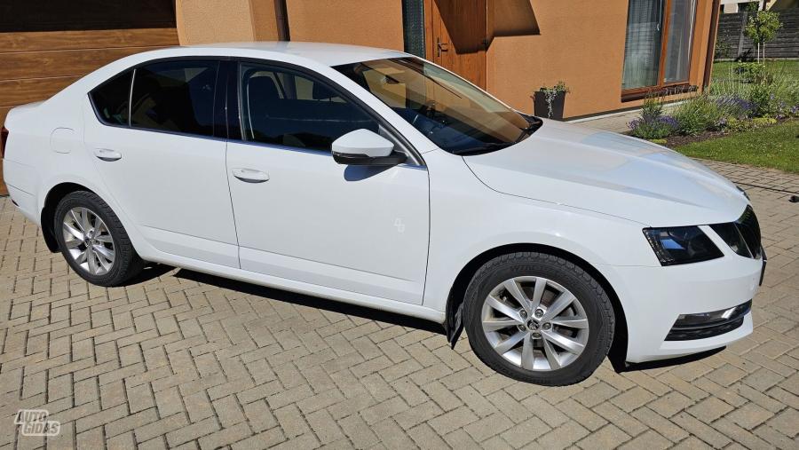Balts Skoda Octavia 2017 Viļņa, ar dzinēja tilpumu 1.40 L un nobraukumu 129 tūkst. km par 13000 €, foto 3 vietnē AUTOMOTO.COM.LV