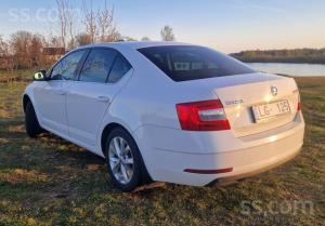White Skoda Octavia 2018 in Jekabpils, with an engine capacity of 1.60 L and mileage of 272 thousand km for 9700 €, photo 5 on AUTOMOTO.COM.LV