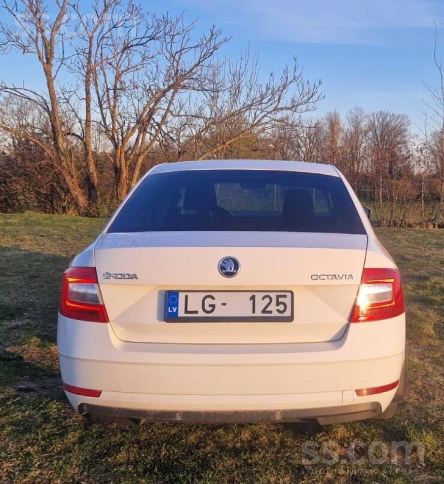 White Skoda Octavia 2018 in Jekabpils, with an engine capacity of 1.60 L and mileage of 272 thousand km for 9700 €, photo 6 on AUTOMOTO.COM.LV
