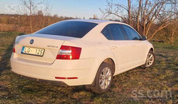 Белый Шкода Октавия 2018 в Екабпилс, объемом двигателя 1.60 л и пробегом 272 тыс. км за 9700 €, фото 6 на AUTOMOTO.COM.LV