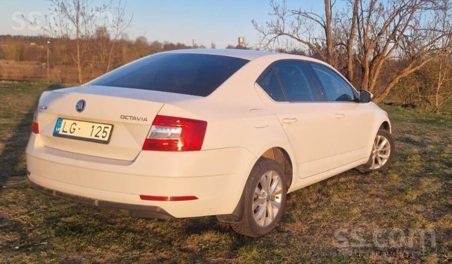 White Skoda Octavia 2018 in Jekabpils, with an engine capacity of 1.60 L and mileage of 272 thousand km for 9700 €, photo 7 on AUTOMOTO.COM.LV