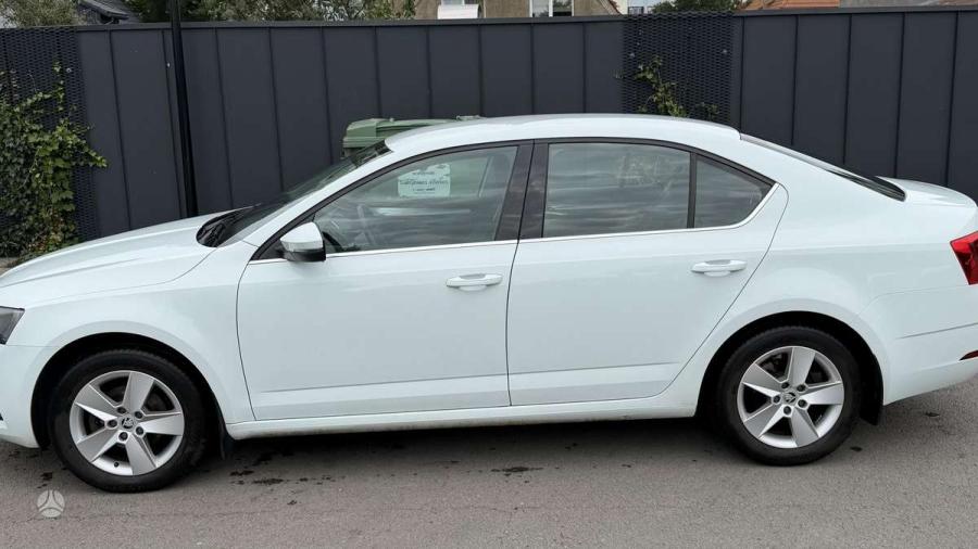 Balts Skoda Octavia 2018 Klaipėda, ar dzinēja tilpumu 1.60 L un nobraukumu 194 tūkst. km par 6200 €, foto 3 vietnē AUTOMOTO.COM.LV