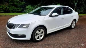 Balts Skoda Octavia 2019 Kauņa, ar dzinēja tilpumu 1.97 L un nobraukumu 258 tūkst. km par 8200 €, foto  vietnē AUTOMOTO.COM.LV