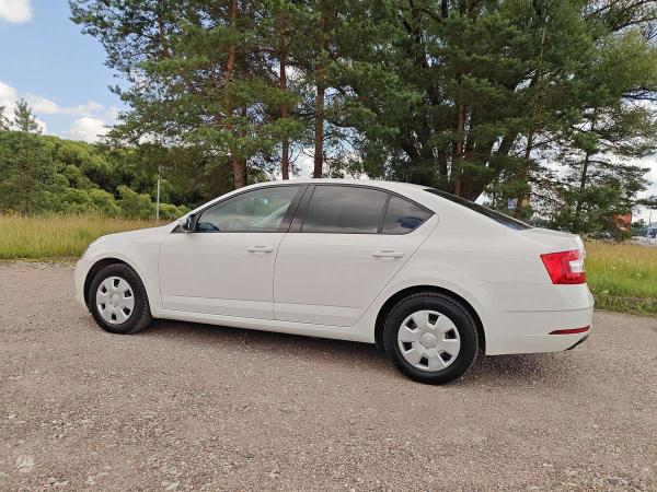 White Skoda Octavia 2019 in Taurage, with an engine capacity of 1.60 L and mileage of 280 thousand km for 5700 €, photo 7 on AUTOMOTO.COM.LV