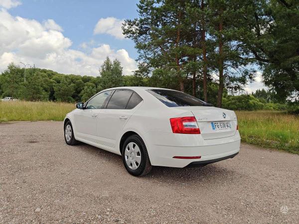 White Skoda Octavia 2019 in Taurage, with an engine capacity of 1.60 L and mileage of 280 thousand km for 5700 €, photo 8 on AUTOMOTO.COM.LV