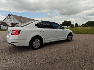 White Skoda Octavia 2019 in Taurage, with an engine capacity of 1.60 L and mileage of 280 thousand km for 5700 €, photo 12 on AUTOMOTO.COM.LV