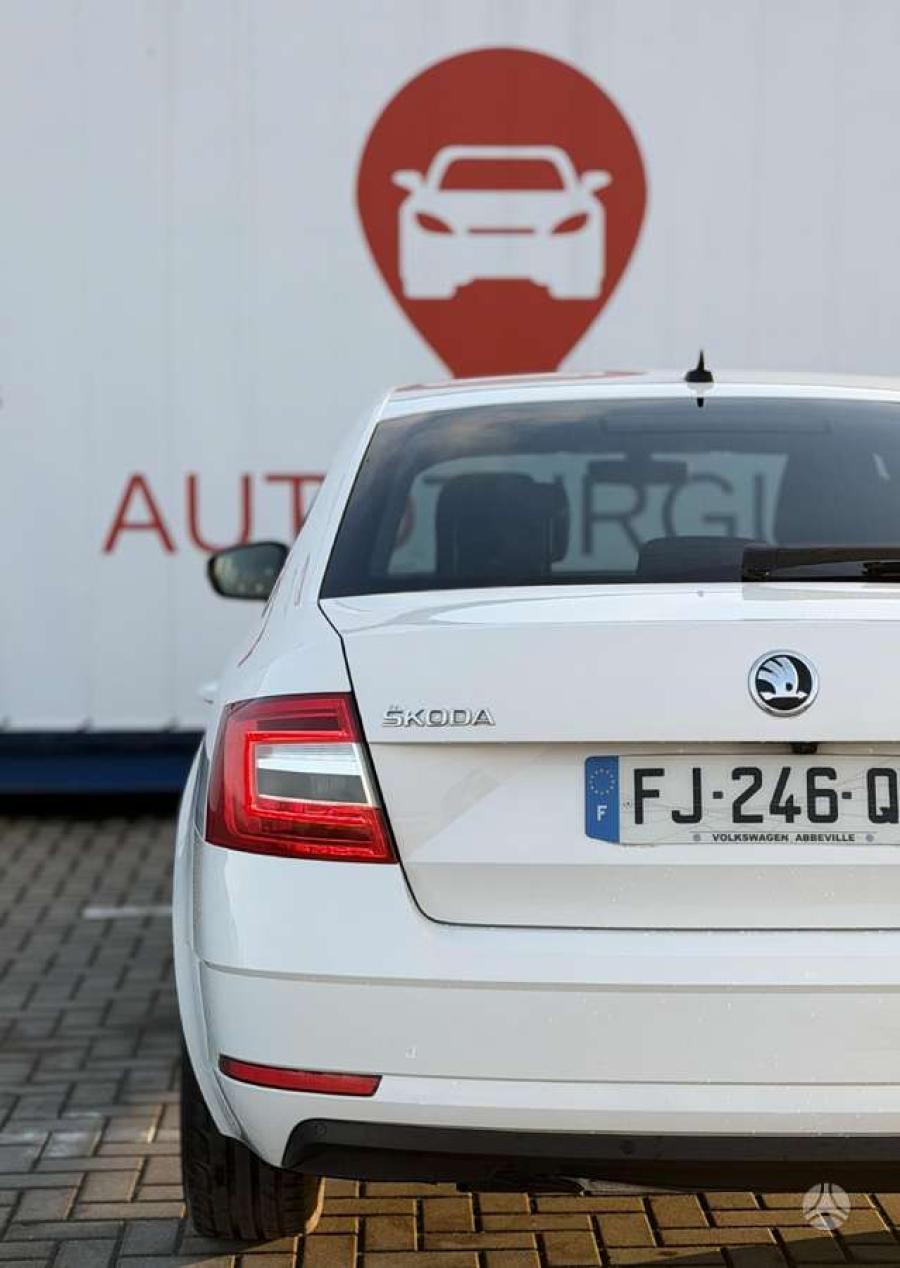 White Skoda Octavia 2020 in Taurage, with an engine capacity of 1.60 L and mileage of 238 thousand km for 6300 €, photo 18 on AUTOMOTO.COM.LV