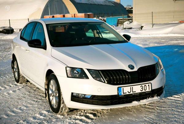 Balts Skoda Octavia 2020 Šauļi, ar dzinēja tilpumu 1.50 L un nobraukumu 179 tūkst. km par 9800 €, foto 2 vietnē AUTOMOTO.COM.LV