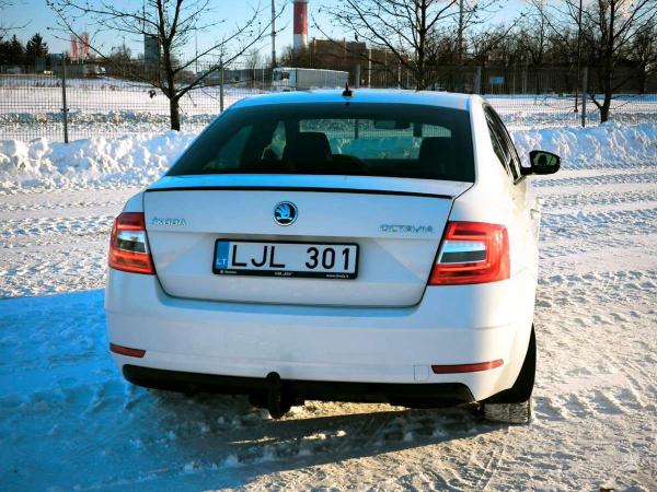 Balts Skoda Octavia 2020 Šauļi, ar dzinēja tilpumu 1.50 L un nobraukumu 179 tūkst. km par 9800 €, foto 6 vietnē AUTOMOTO.COM.LV