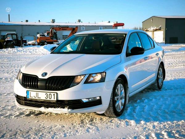 Balts Skoda Octavia 2020 Šauļi, ar dzinēja tilpumu 1.50 L un nobraukumu 179 tūkst. km par 9800 €, foto 7 vietnē AUTOMOTO.COM.LV