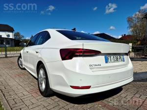 White Skoda Octavia 2020 in Liepaja, with an engine capacity of 2.00 L and mileage of 176 thousand km for 12555 €, photo 8 on AUTOMOTO.COM.LV