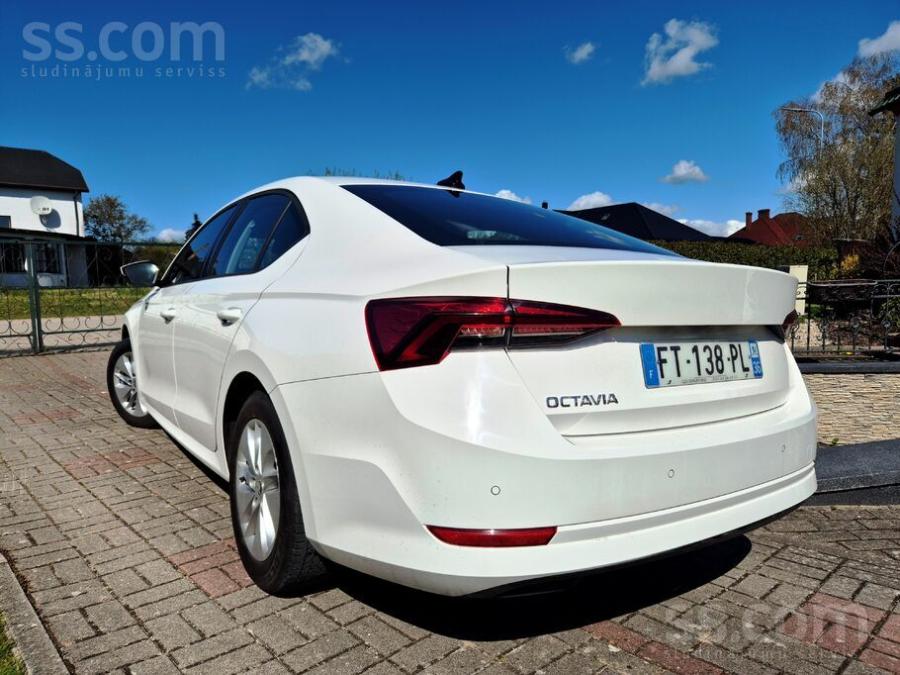 White Skoda Octavia 2020 in Liepaja, with an engine capacity of 2.00 L and mileage of 176 thousand km for 12555 €, photo 8 on AUTOMOTO.COM.LV