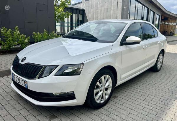 White Skoda Octavia 2020 in Taurage, with an engine capacity of 1.97 L and mileage of 217 thousand km for 7400 €, photo 1 on AUTOMOTO.COM.LV